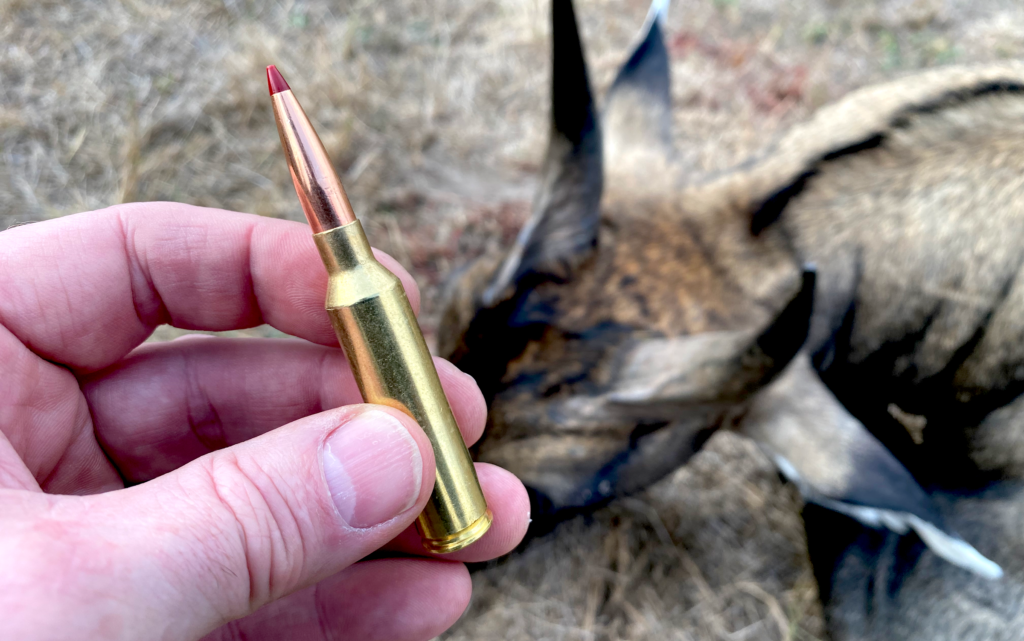 Hornady 7mm PRC: Tested and Reviewed | Field & Stream