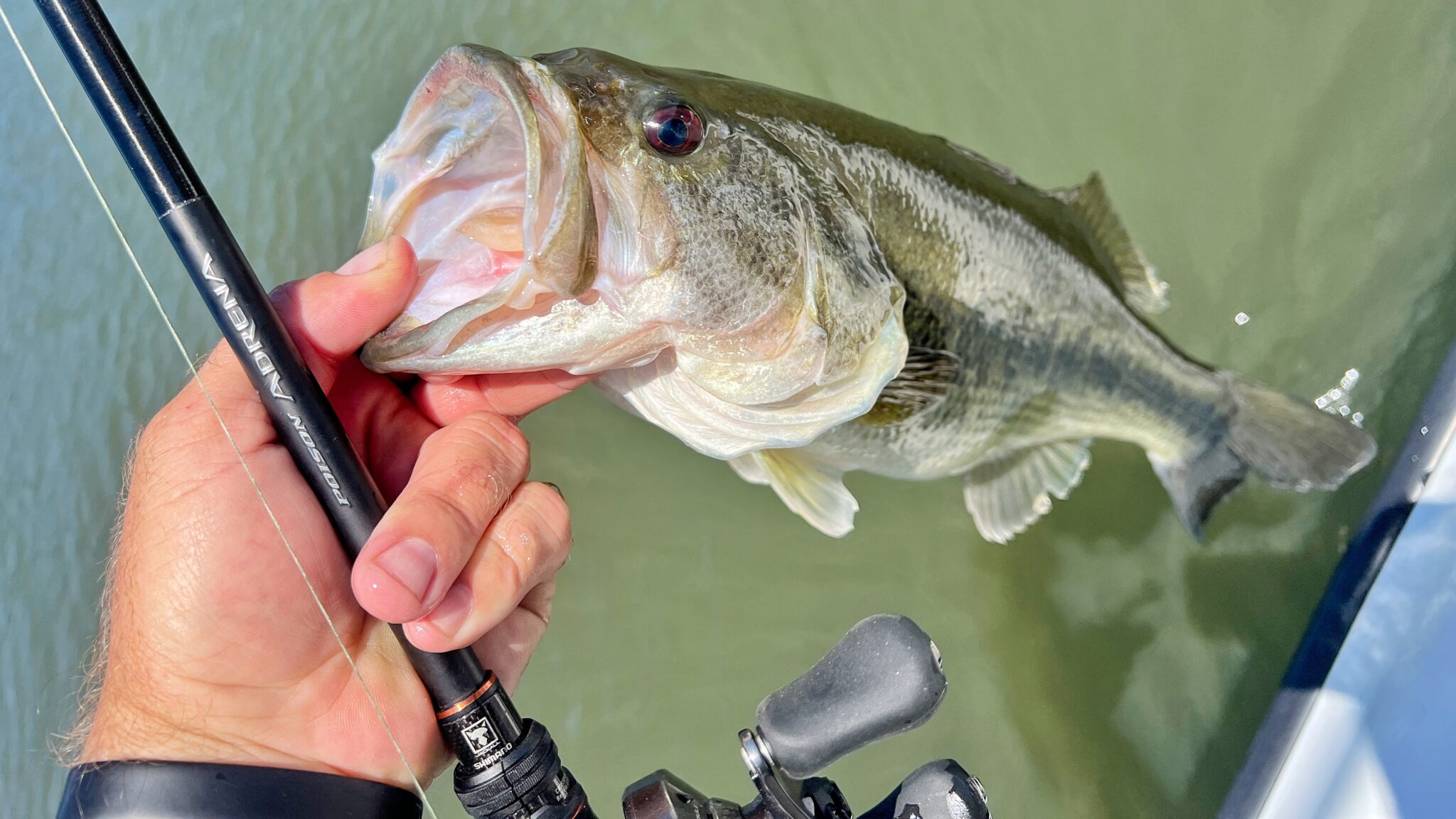 Shimano Poison Adrena Casting Rod Review | Field & Stream