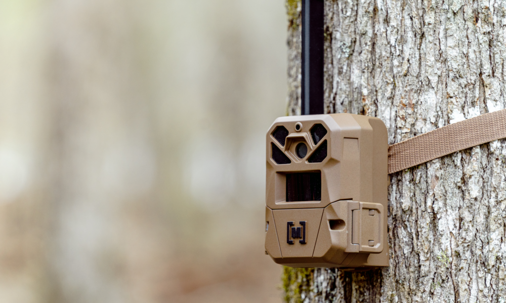 The Moultrie Edge 3 Trail Camera Is the Most Advanced Yet
