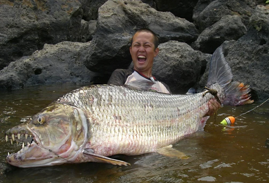 The 10 Hardest Fish to Catch in Freshwater