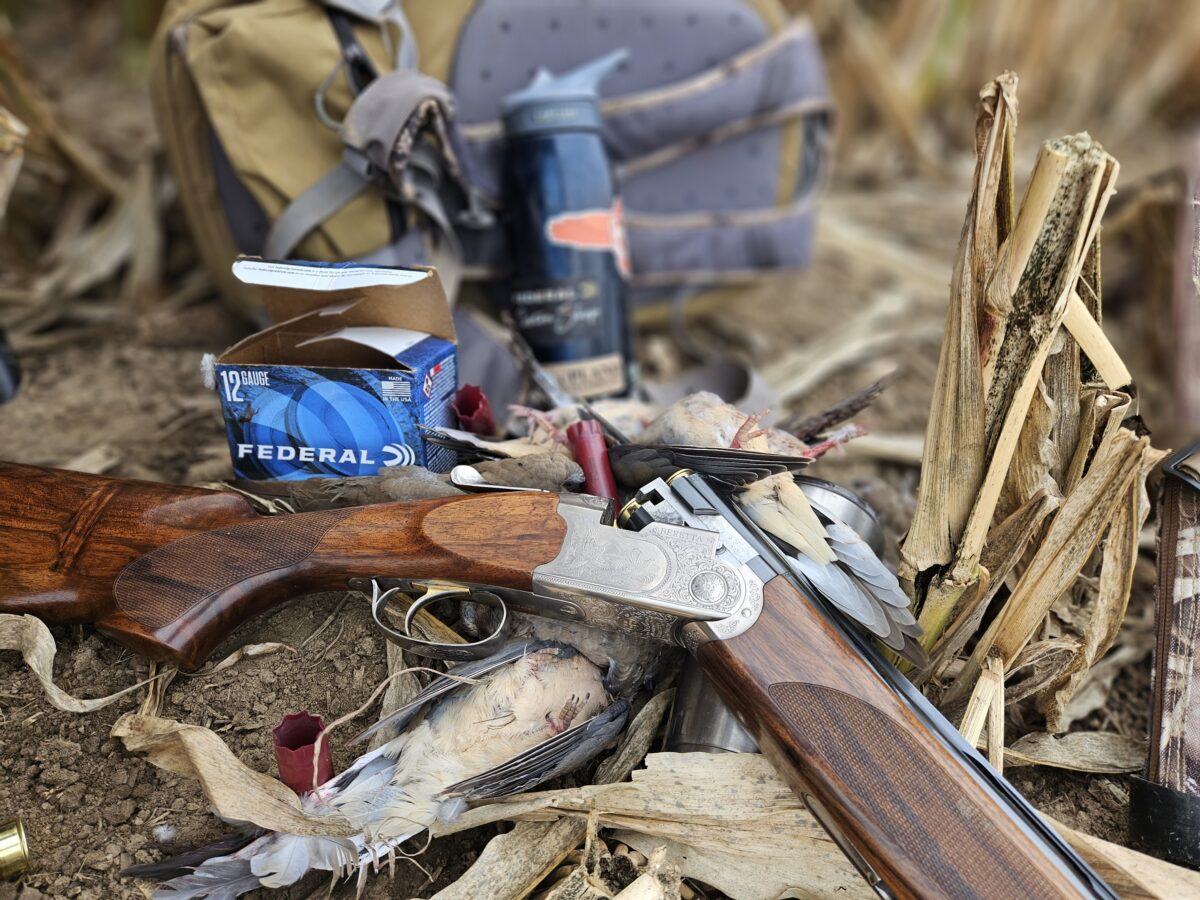The Gear Your Need for Dove Season | Field & Stream