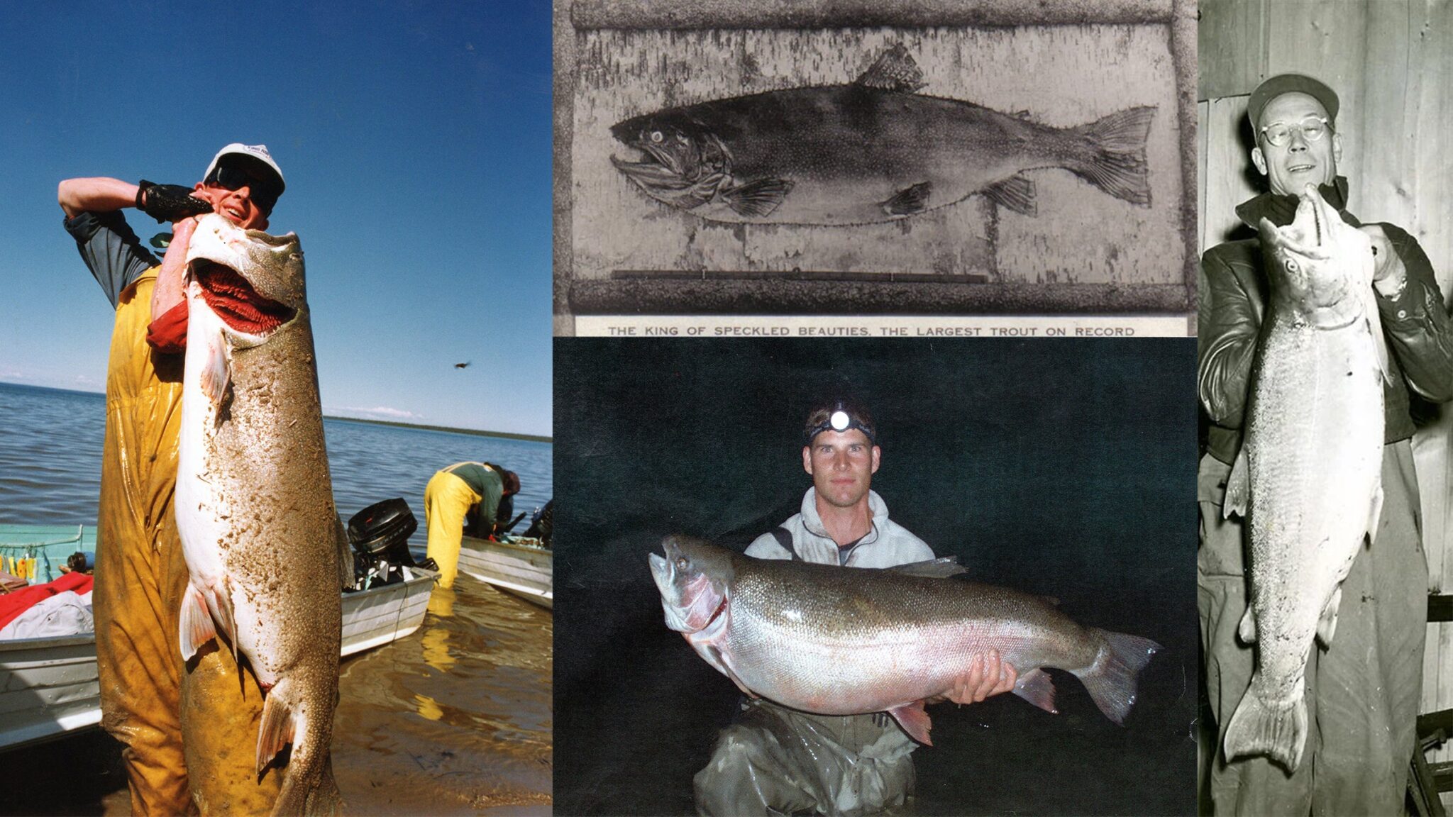The Biggest Trout Ever Caught
