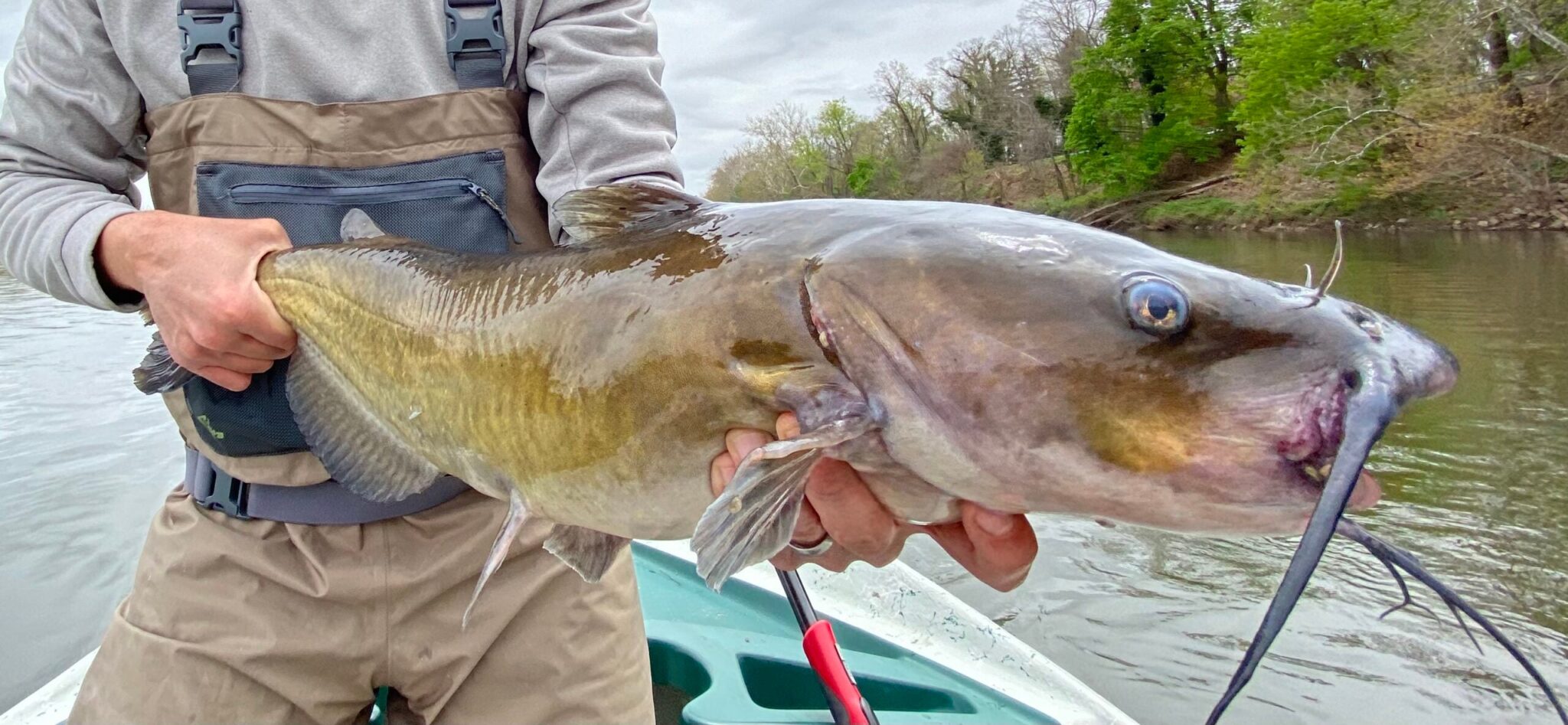 How to Catch a Catfish | Field & Stream
