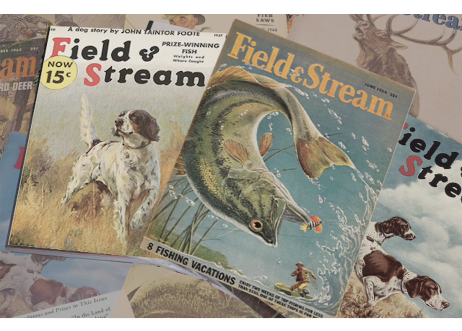 Digital Downloads - Field & Stream