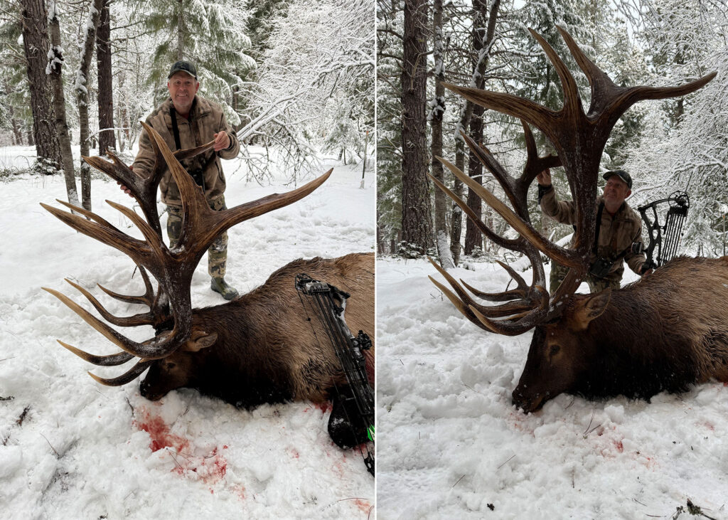 Casey Brooks Elk May Break All Hunting Records