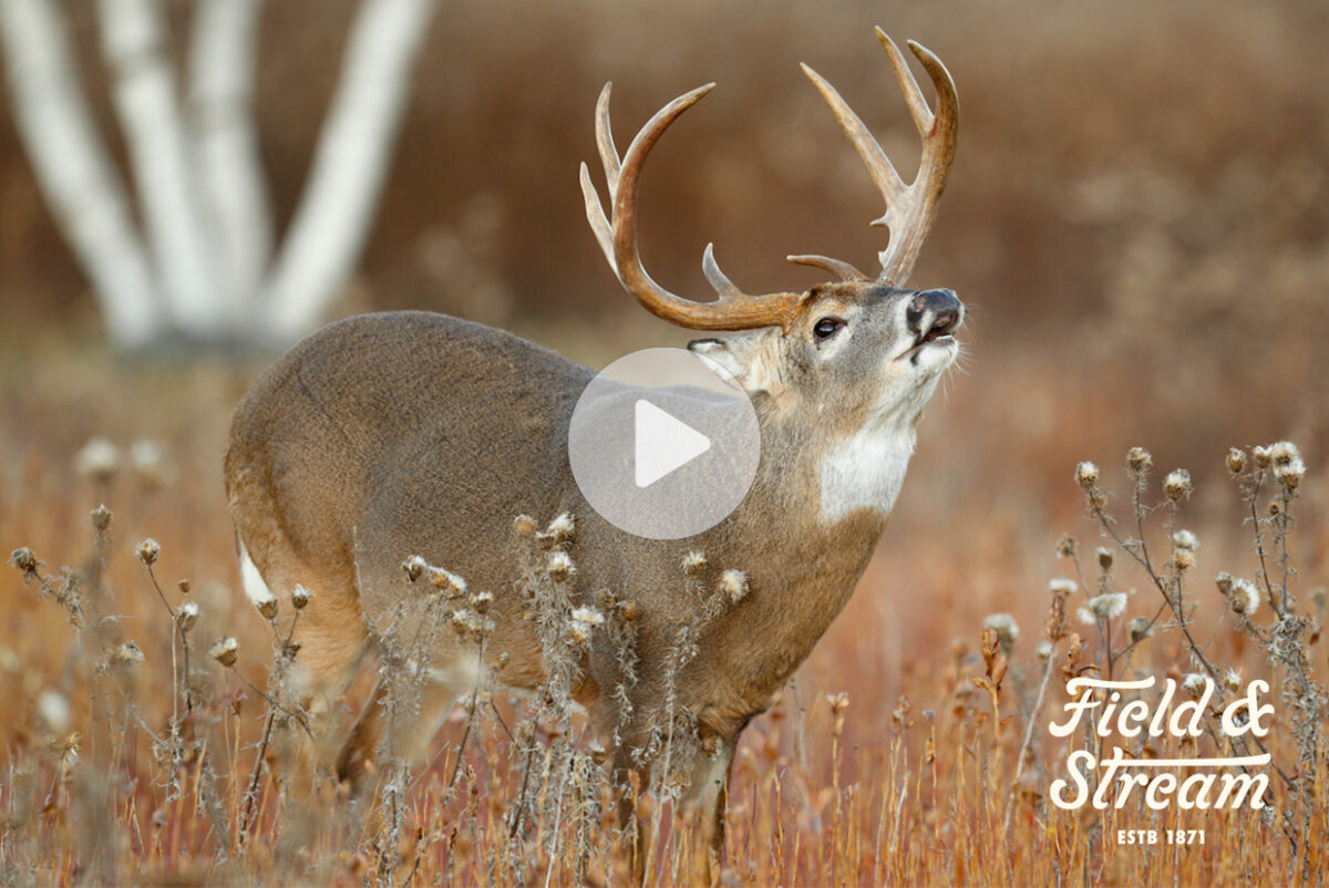 Field & Stream | Hunting, Fishing & Outdoor Expertise Since 1871