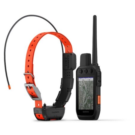 The Best Dog Training Collars of 2026, Tested